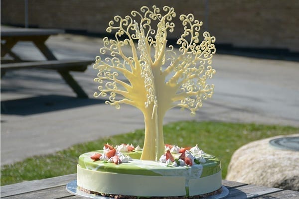 "Tree of life"-cake, greenfingers and corona thoughts | Ranum ...